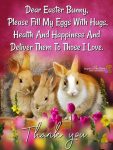 60 Funny Happy Easter Memes - Dreams Quote