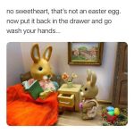 60 Funny Happy Easter Memes - Dreams Quote