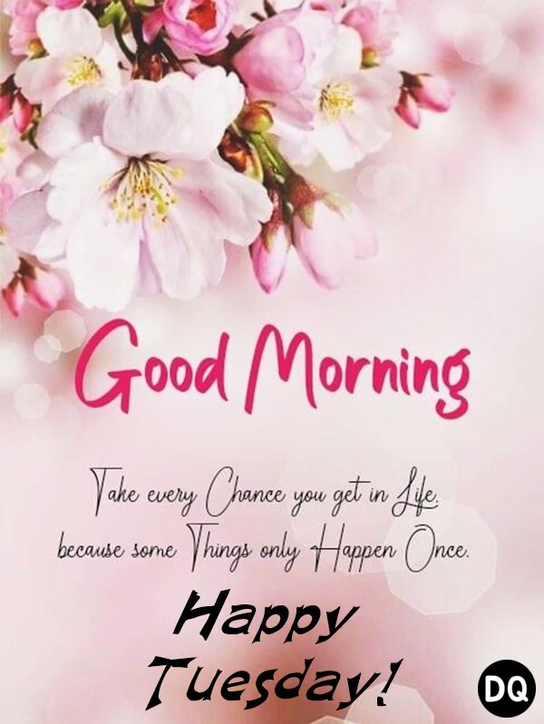 45 Happy Tuesday Morning Wishes - Quotes and Messages - Dreams Quote