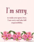 Professional Apology Message To Boss – Sorry Messages - Dreams Quote