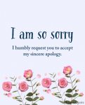 Professional Apology Message To Boss – Sorry Messages - Dreams Quote