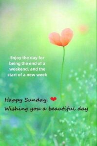 100 Happy Sunday Messages - Words Of Encouragement - Dreams Quote