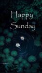 57 Happy Sunday Images and Quotes - Dreams Quote
