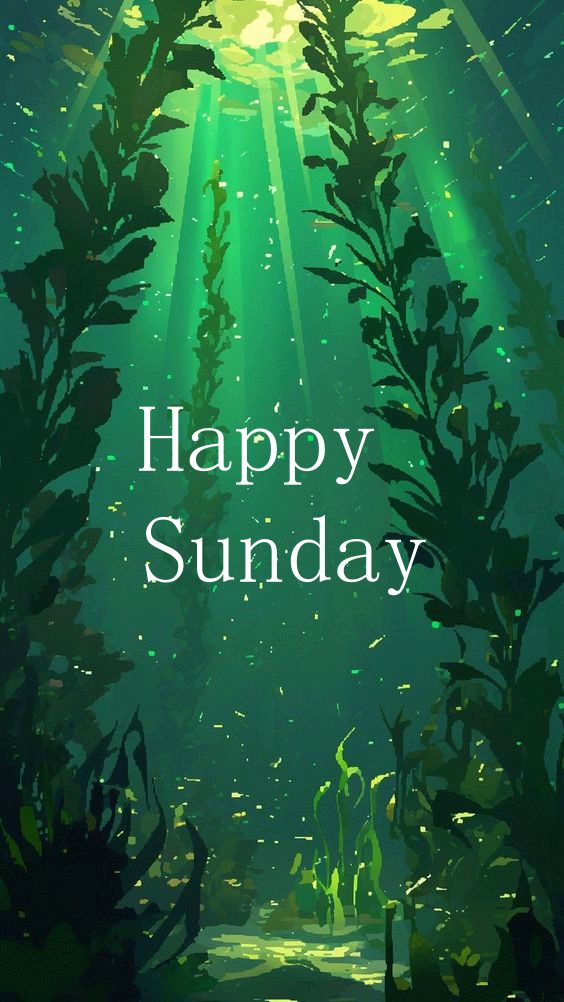 57 Happy Sunday Images and Quotes - Dreams Quote