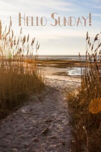 57 Happy Sunday Images and Quotes - Dreams Quote