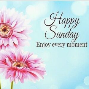 56 Happy Sunday Images and Quotes - Dreams Quote