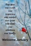 100 Friday Winter Blessings Have A Great Weekend Winter - Dreams Quote