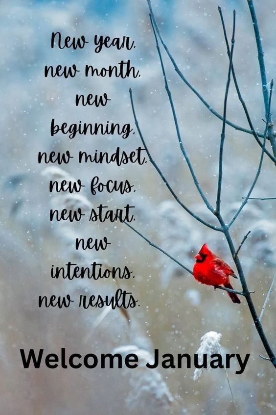 100 Friday Winter Blessings Have A Great Weekend Winter - Dreams Quote