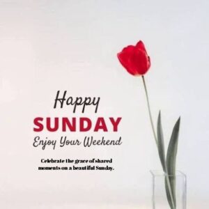 57 Happy Sunday Images and Quotes - Dreams Quote