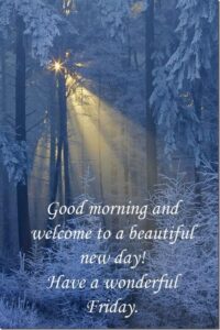 100 Friday Winter Blessings Have A Great Weekend Winter - Dreams Quote