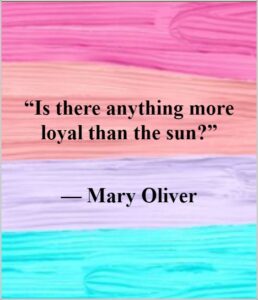 45 Light Quotes to Illuminate Your Life - Dreams Quote