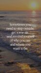 342 Inspirational and Motivational Quotes with Images - Dreams Quote