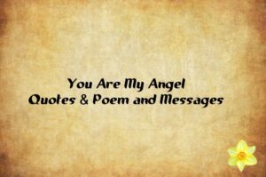 You Are My Angel Quotes & Poem and Messages - Dreams Quote