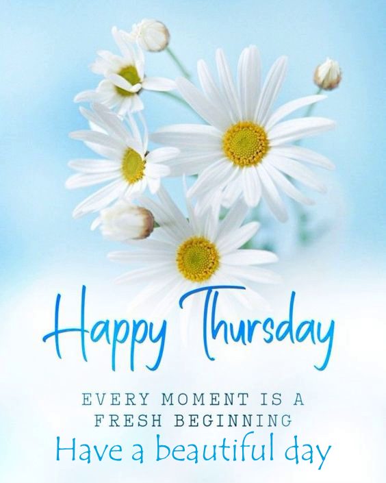 100 Happy Thursday Images And Sayings - Dreams Quote