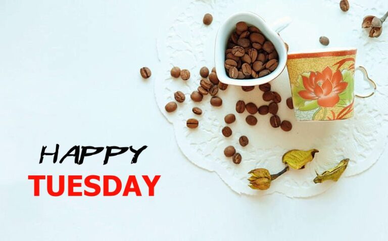 100 Happy Tuesday Images And Sayings - Dreams Quote