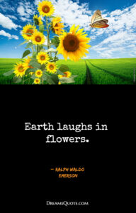 50 Spring Quotes - Sayings About Spring (Inspirational and Funny ...