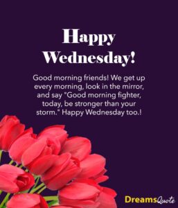 Ultimate 200+ Happy Wednesday Images & Sayings