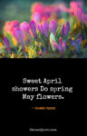 50 Spring Quotes - Sayings About Spring (Inspirational and Funny ...