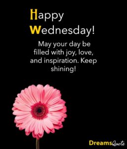 Ultimate 200+ Happy Wednesday Images & Sayings