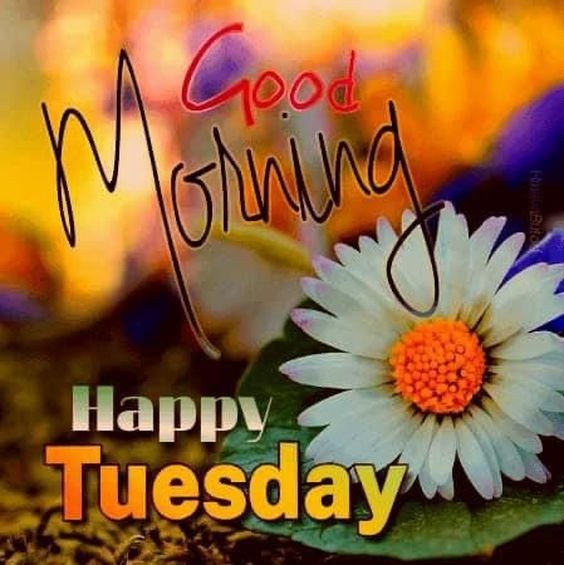 100 Happy Tuesday Images And Sayings - Dreams Quote