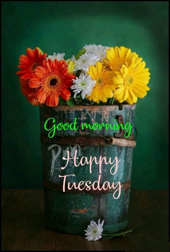 100 Happy Tuesday Images And Sayings - Dreams Quote