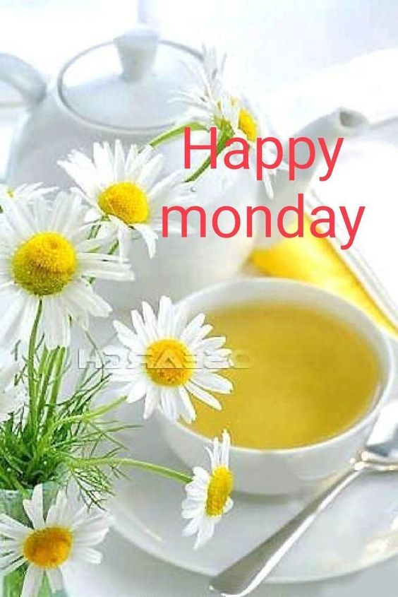 100 Happy Monday Images And Sayings - Dreams Quote