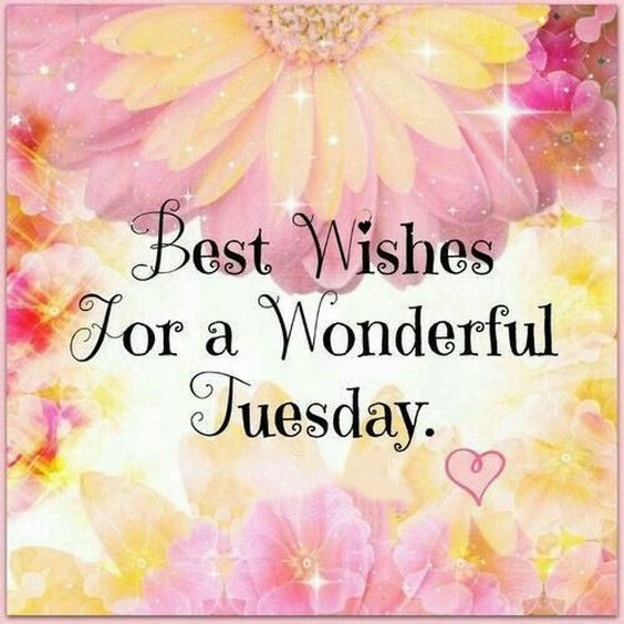 100 Happy Tuesday Images And Sayings - Dreams Quote