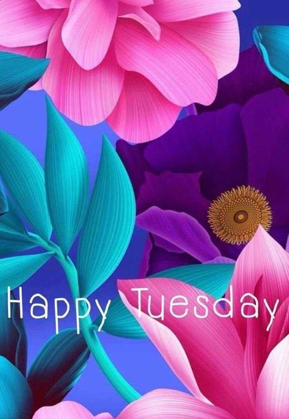 100 Happy Tuesday Images And Sayings - Dreams Quote