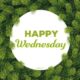 Ultimate 200+ Happy Wednesday Images & Sayings