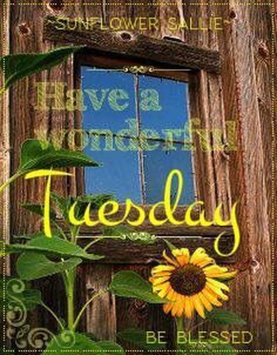 100 Happy Tuesday Images And Sayings - Dreams Quote