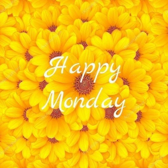 100 Happy Monday Images And Sayings - Dreams Quote