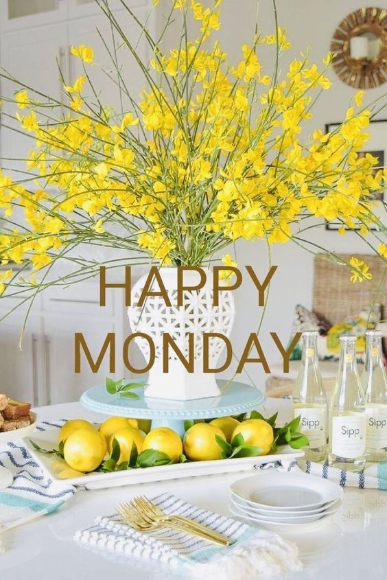 100 Happy Monday Images And Sayings - Dreams Quote