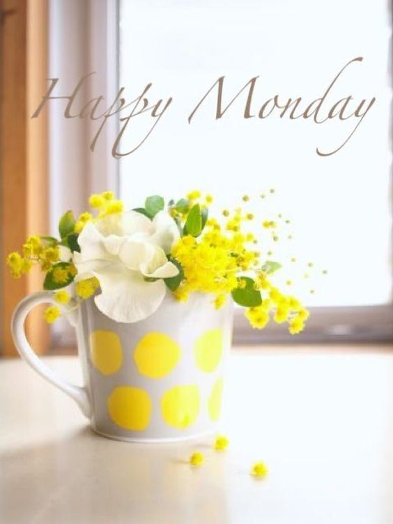 100 Happy Monday Images And Sayings - Dreams Quote