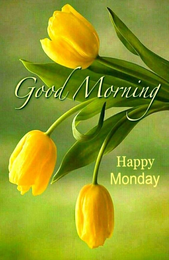 100 Happy Monday Images And Sayings - Dreams Quote