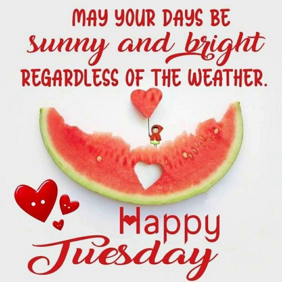 100 Happy Tuesday Images And Sayings - Dreams Quote