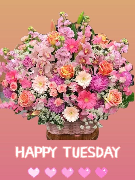 100 Happy Tuesday Images And Sayings - Dreams Quote