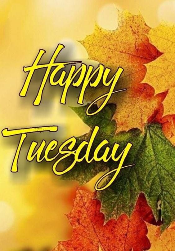 100 Happy Tuesday Images And Sayings - Dreams Quote