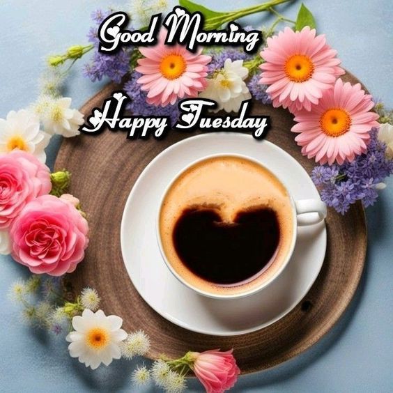 100 Happy Tuesday Images And Sayings - Dreams Quote