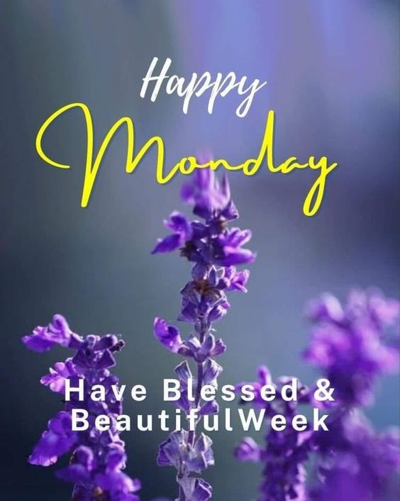 100 Happy Tuesday Images And Sayings - Dreams Quote