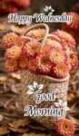 Ultimate 200+ Happy Wednesday Images & Sayings