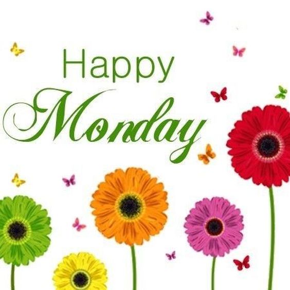 100 Happy Monday Images And Sayings - Dreams Quote