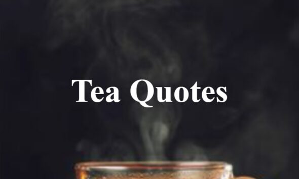 George Addair Quotes: Inspirational Messages Everything You've Ever ...