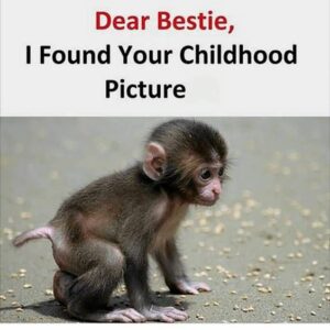 28 Crazy Funny Quotes and Sayings - Dreams Quote