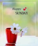 100 Happy Sunday Images - Dreams Quote