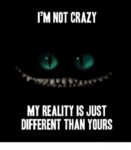 28 Crazy Funny Quotes and Sayings - Dreams Quote