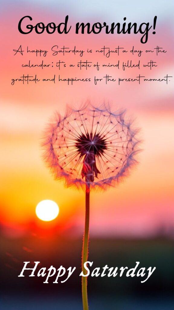 100 Saturday Morning Quotes And Sayings - Dreams Quote