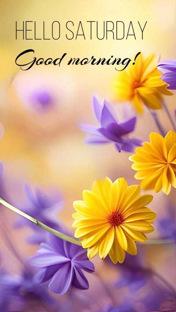 100 Saturday Morning Quotes And Sayings - Dreams Quote