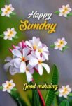 100 Happy Sunday Images - Dreams Quote
