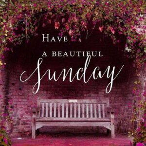 100 Happy Sunday Images - Dreams Quote