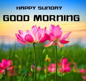 55 Happy Sunday Images - Dreams Quote